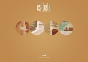 50 Shades of Color: Monochromatic Website Design