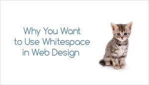 Why You Want to Use Whitespace in Web Design