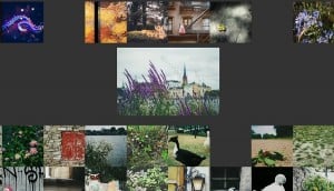 37 Free jQuery Grid Gallery Plugins for Your Designs